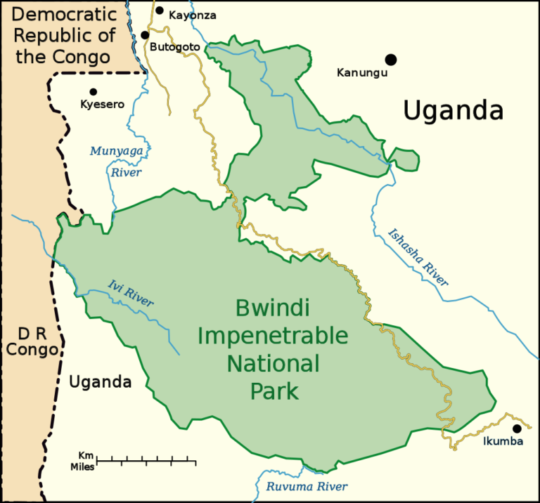 Bwindi Impenetrable National Park: Home to the Gorillas