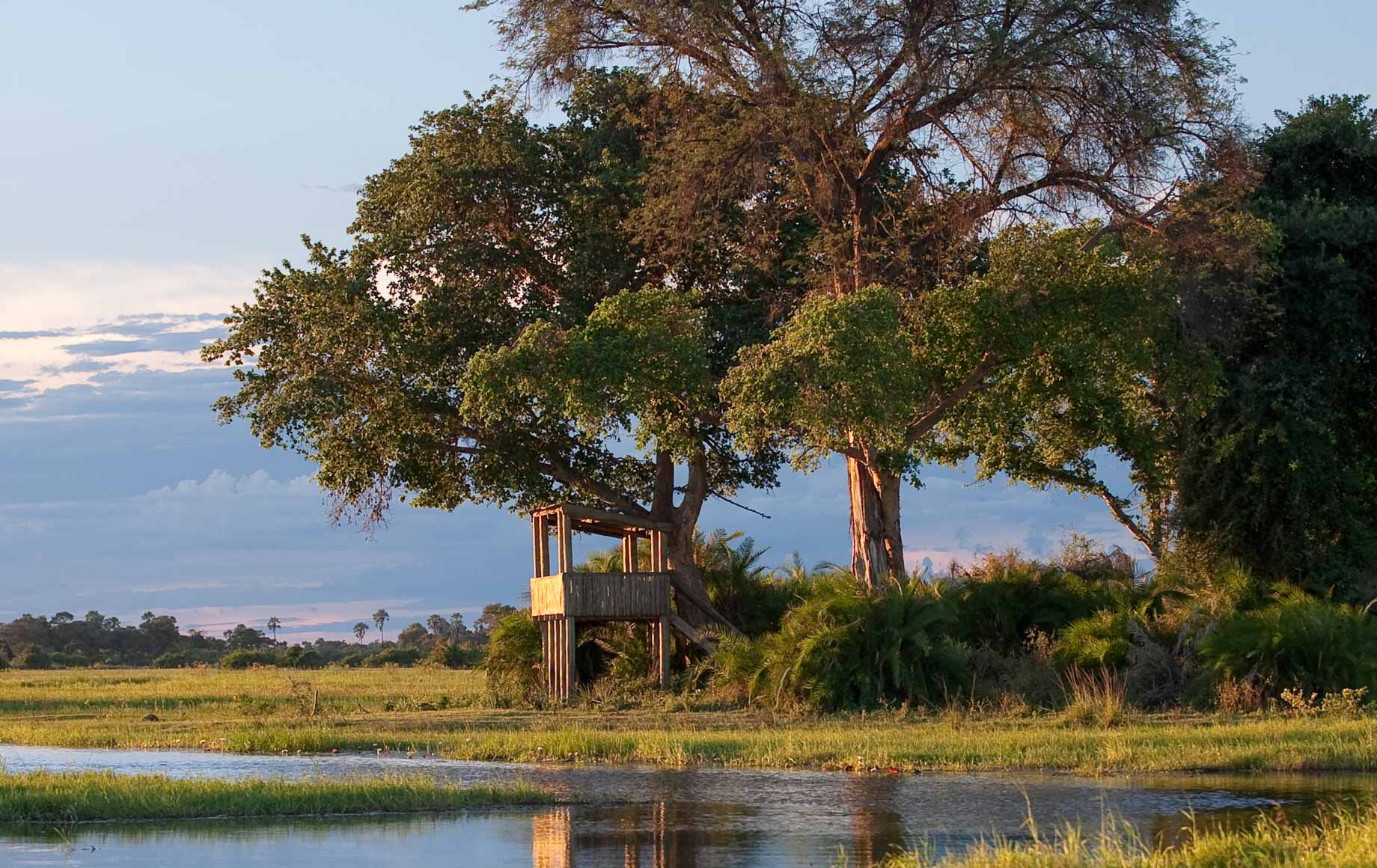 8-Day Botswana Safari | Kalahari, Moremi & Okavango Delta